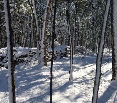 trail-snow – BNA Bucket list