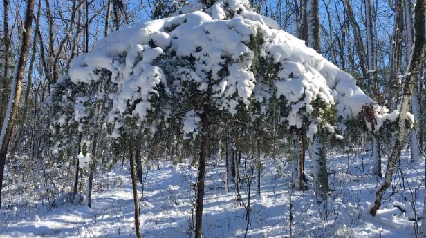 trail – BNA Bucket list